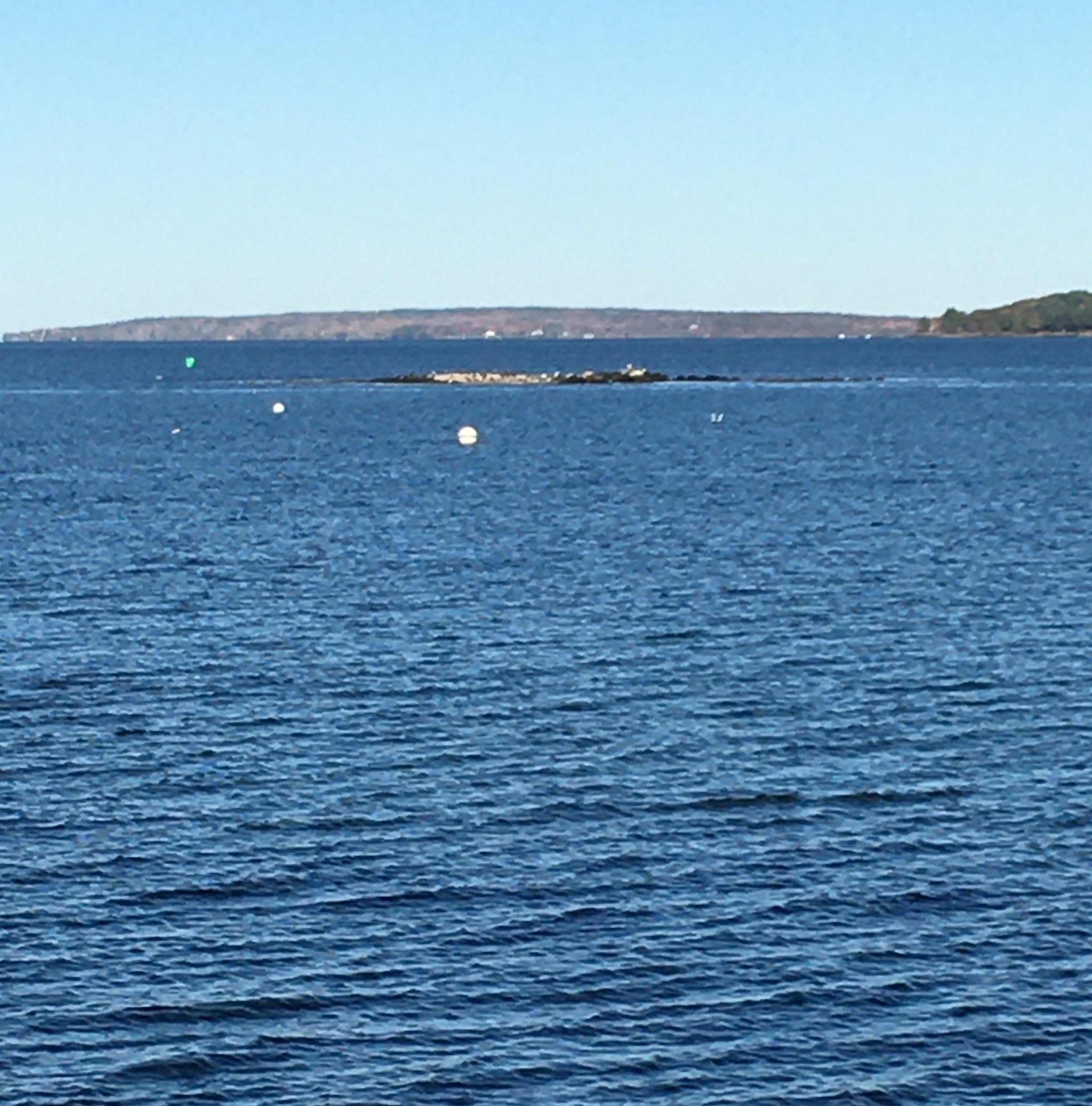 East End Beach / Pomroy Rock » Portland, Maine audio guide app » VoiceMap