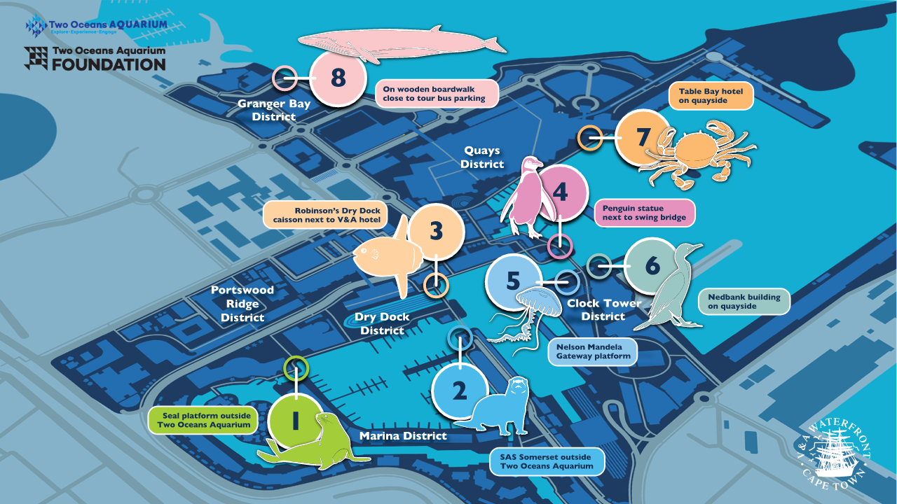 Marine Wildlife Bonus Track » Cape Town self-guided audio tour app ...