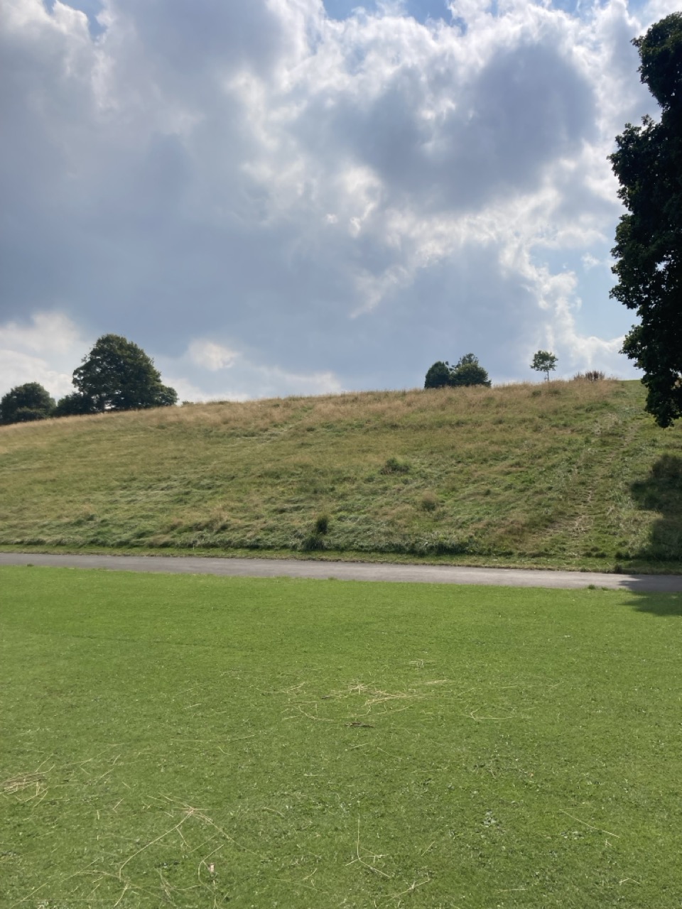 Hill 60 » Leeds audio guide app » VoiceMap