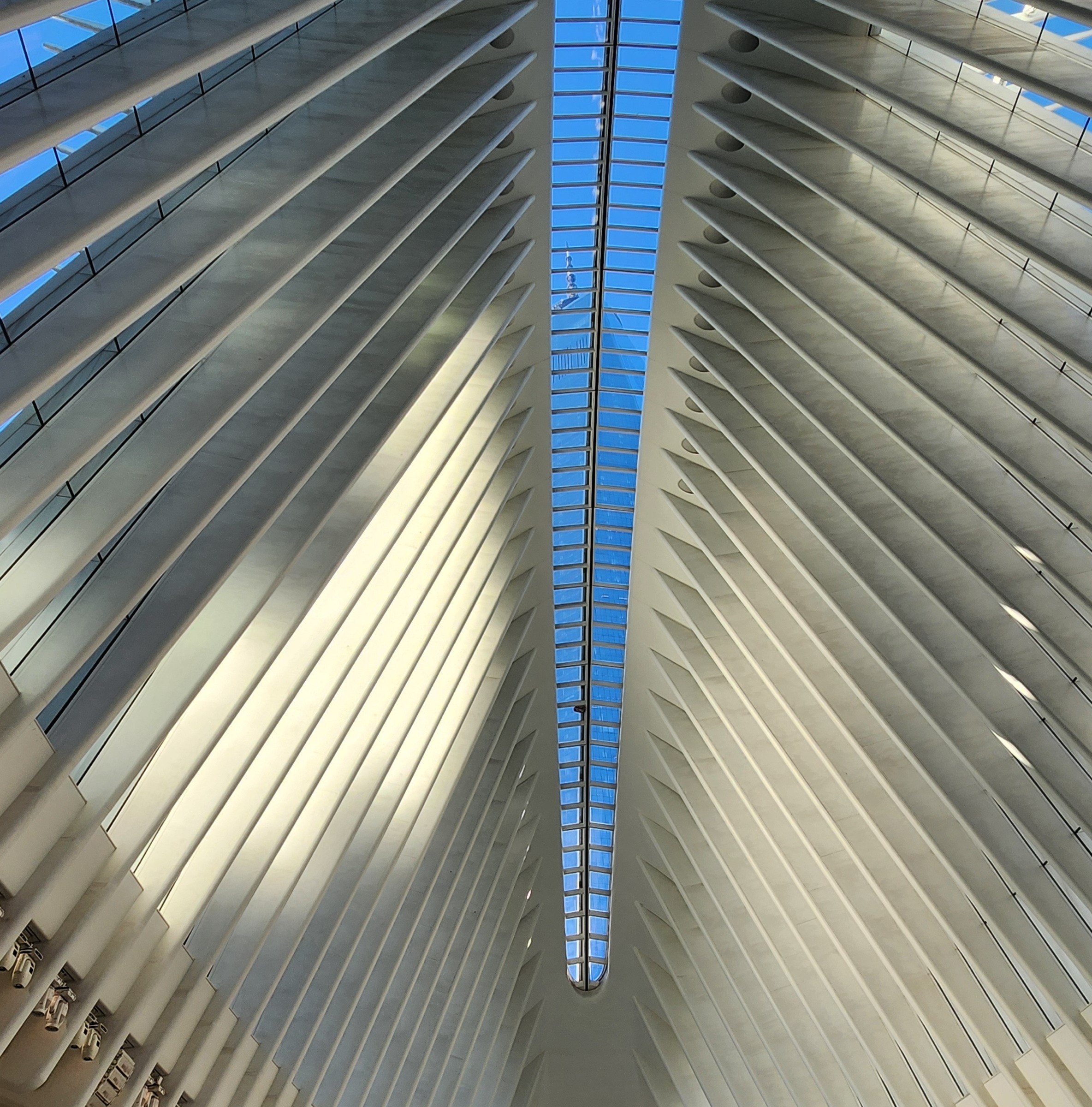 World Trade Center One - a Look through the Oculus » New York City self ...