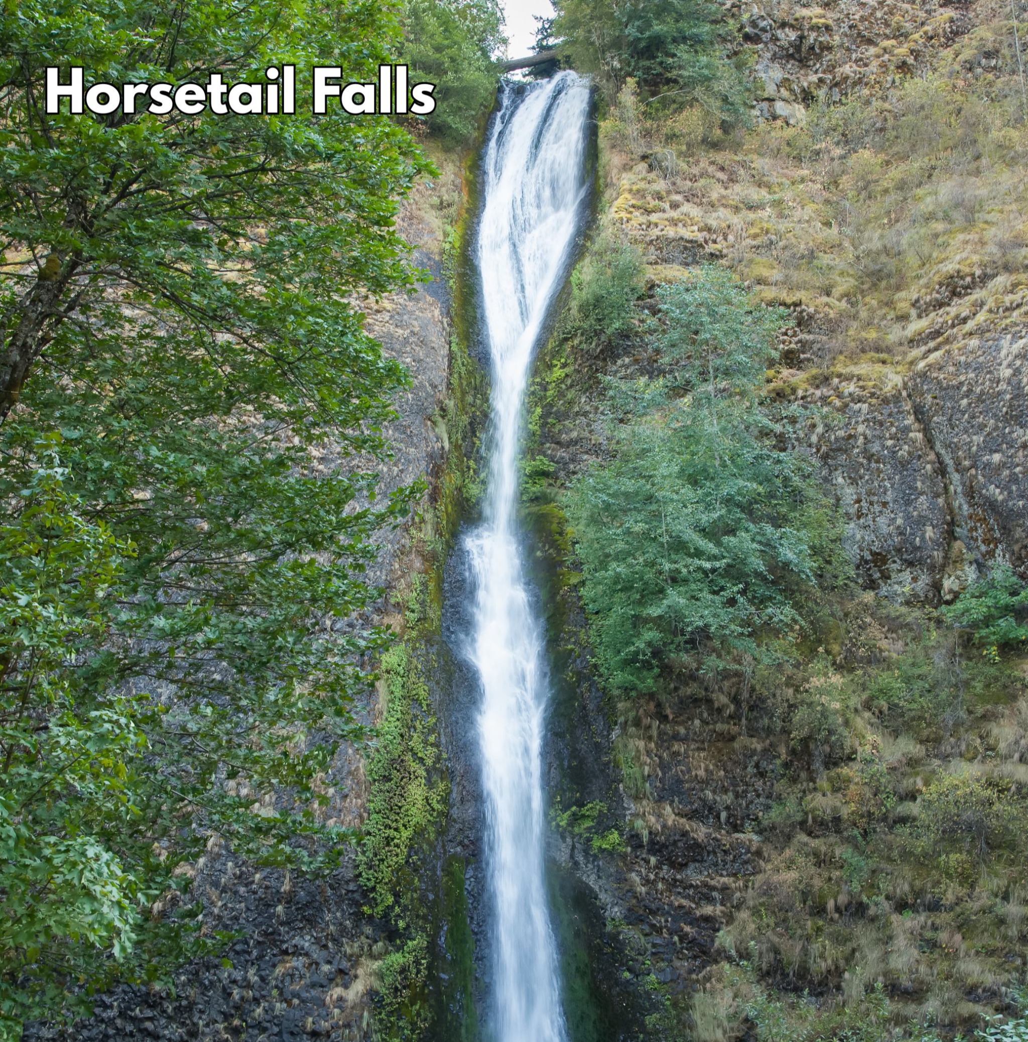 Horsetail Falls » Portland, Oregon self-guided audio tour app » VoiceMap